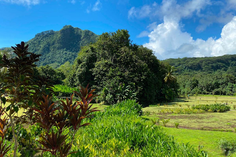 Day Tour by E-Bike on Raiatea - Online Booking
