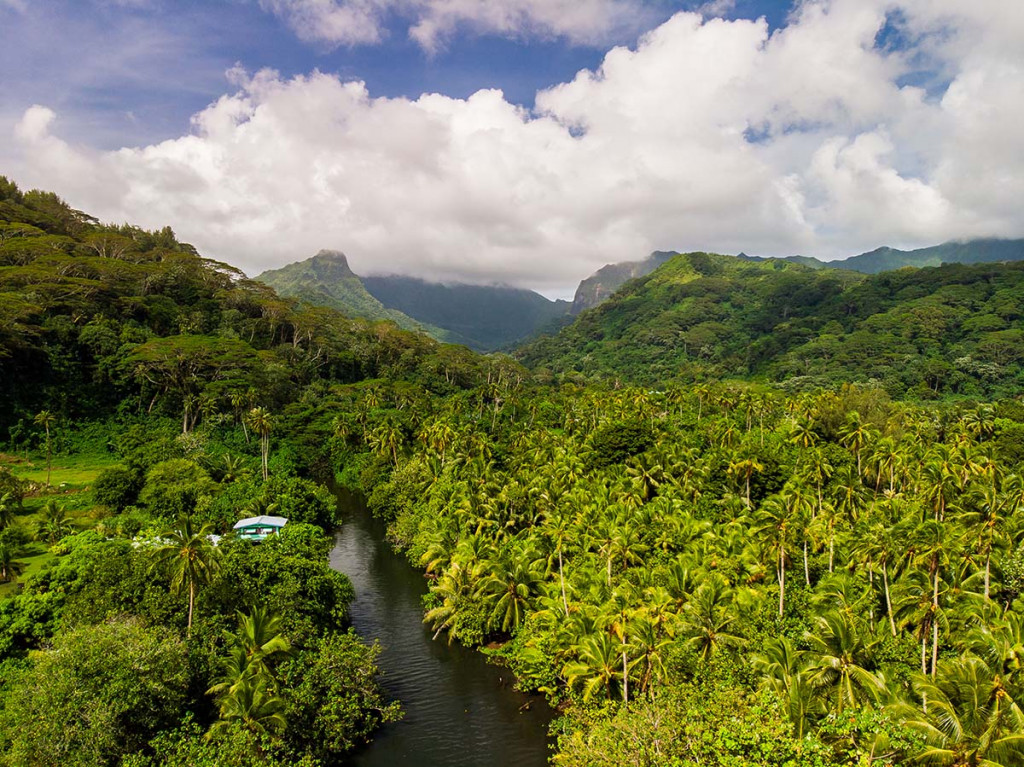 Things to Do in Raiatea: Top 5 Activities