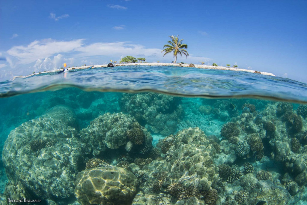 Snorkeling Tour in Rangiroa - Online Booking!