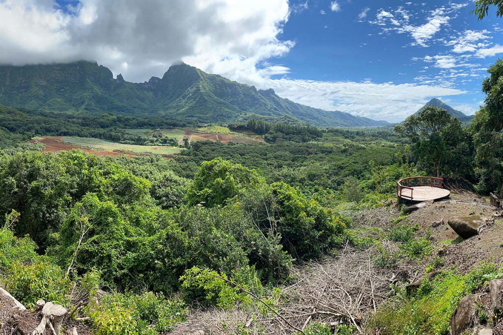 Marae Taputapuatea Private Tour in Raiatea - Online Booking