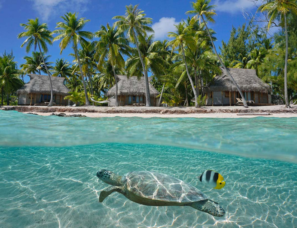 Getting to Tikehau: How to Get There and When to Go?