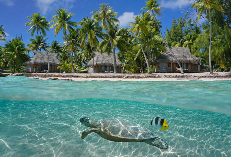 Tikehau: Travel Guide - The Pink Sand Island