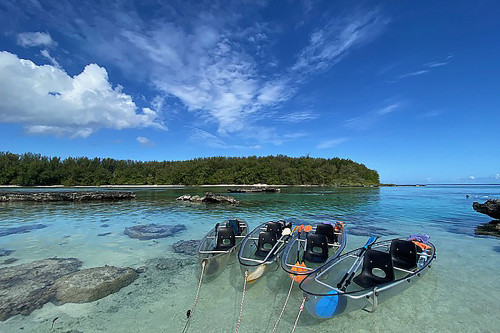 Clear Kayak Tour in Moorea - Book Online