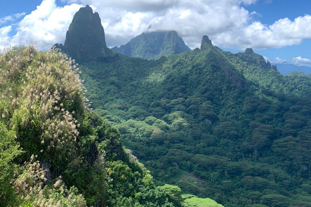 Randonnée à Moorea : Les plus beaux panoramas