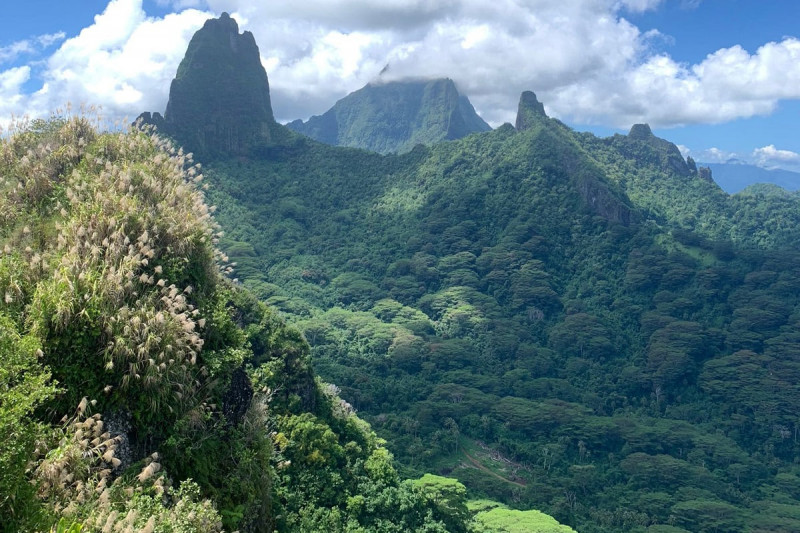 Hiking in Moorea: Most Beautiful Panoramas