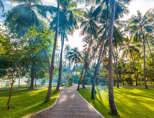 Cultural Places in French Polynesia: Authentic Sites to Visit