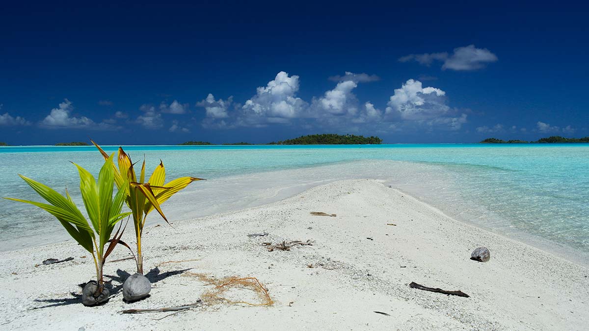 Beaches in French Polynesia: Best Beaches in Tahiti and Her Islands