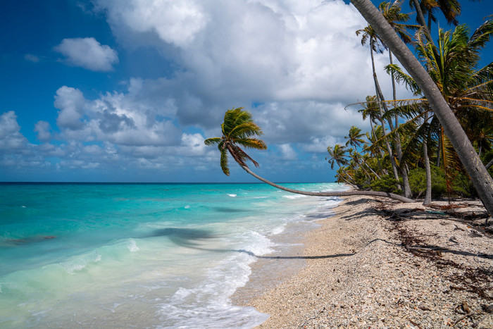 Best Things to Do in Fakarava: Choose Your Activity!