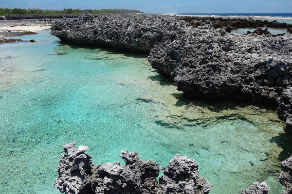 Things to Do in Rangiroa: Top 5 Activities