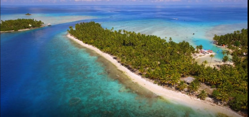 Combined Tour in Rangiroa - Book Online!