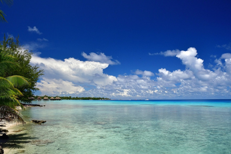 Private Tour to Rangiroa Green Lagoon | Book Online!