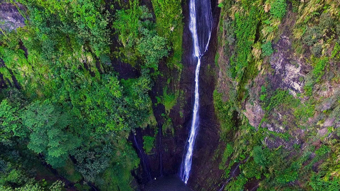 Hiking in Tahiti: Kingdom of Waterfalls and Lavatubes